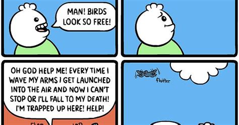 Poor Bird Imgur
