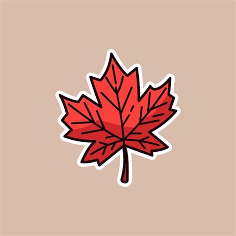 Premium Vector Free Maple Leaf Vector Illustration