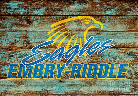 Embry Riddle Eagles Digital Art By Steven Parker Fine Art America