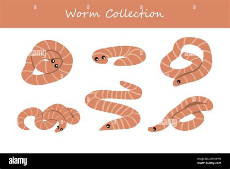 Worm Vector Illustration Set Cute Worm Isolated On White Background Stock Vector Image And Art