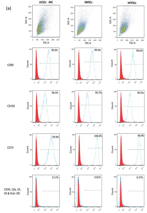 A Characterisation For Stromal Cell Like Phenotype By Flow Cytometry Download Scientific