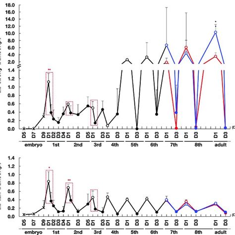 Pathway Of Melanin And Sclerotin Biosynthesis In Insects Dopamine