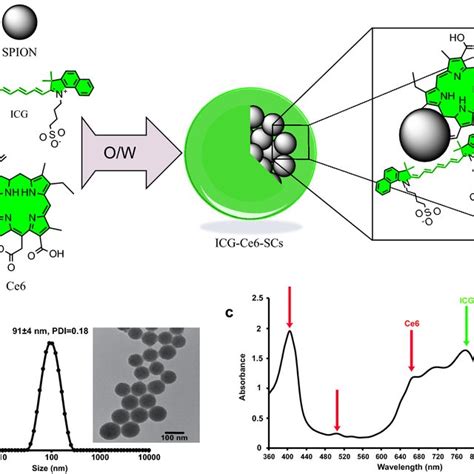 A Illustration Of Icgce6 Coated Spion Nanoclusters Ics The