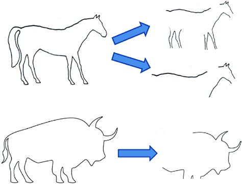 Graphic Illustrating That The Diagnostic Information Of Bison Is