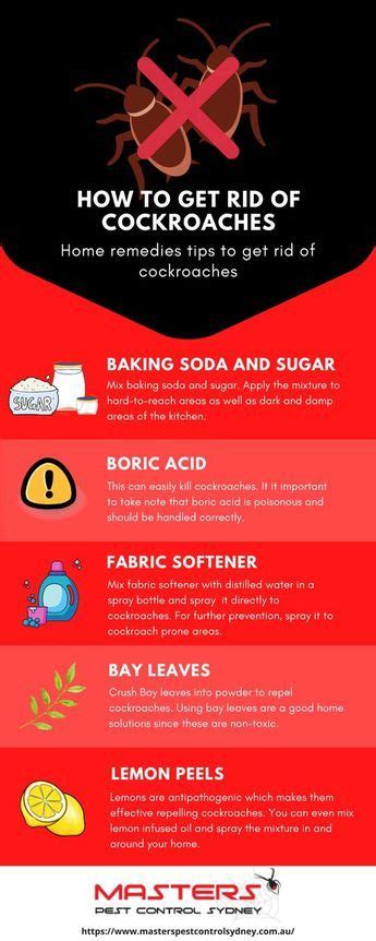 How To Be A Cockroach In Dti Artofit