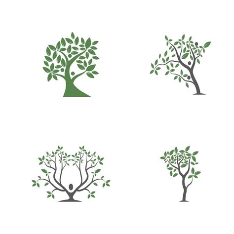 Tree Vector Hand Drawn Illustration Of Olive Tree Vector Design