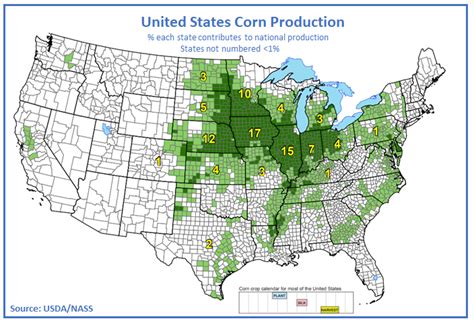Corn Basis Map