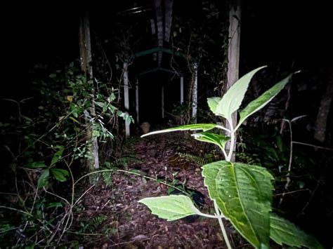 ก่อนเที่ยงคืน Ghost Camping Episode22