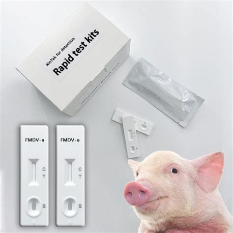 Foot And Mouth Disease Virus Type A Test Kit For Swine Disease