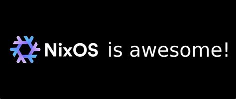 The One Thing I Do Not Like About The Nix Package Manager And A Fix