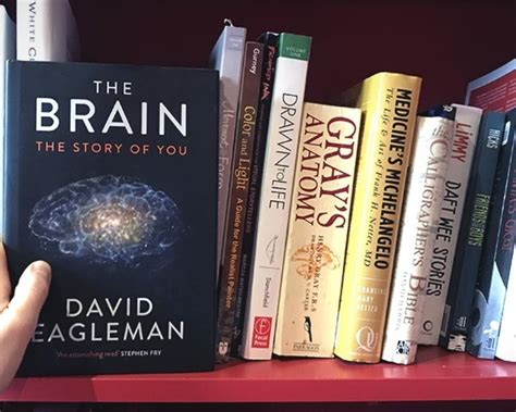 The Brain 🧠 By David Eagleman Deepstash