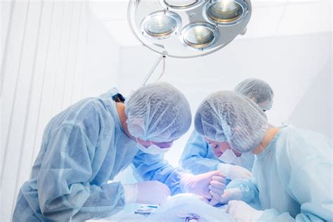 En una clínica veterinaria moderna, se realiza una operación en un animal en la mesa de ...