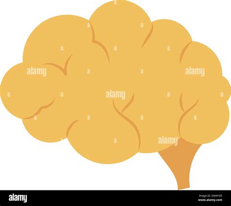 Yellow Brain Icon On White Background Stock Vector Image And Art Alamy