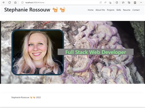 github strossouw react portfolio