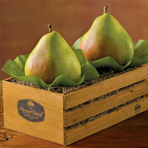 Royal Riviera Pear Tree For Sale Lrbo
