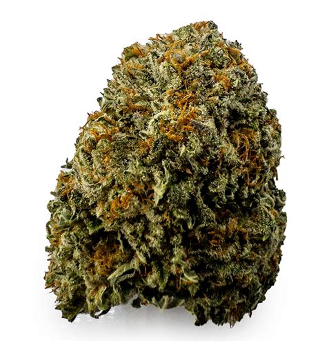 Godhead Cannabis Wtf Online Dispensary