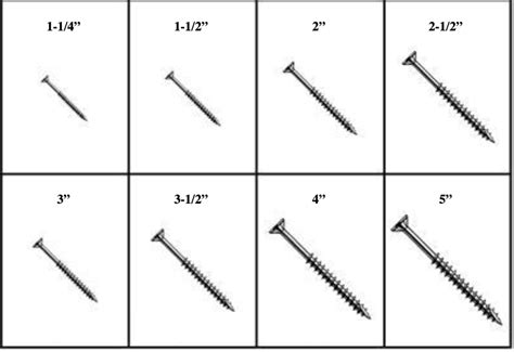 Asst Exterior Deck Screws Lrg Tray