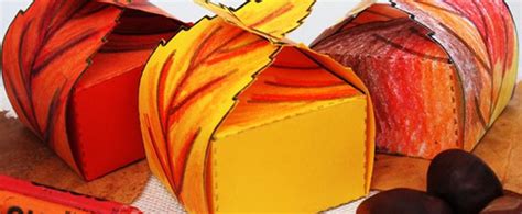 Autumn Leaf Boxes Auckland Botanic Gardens