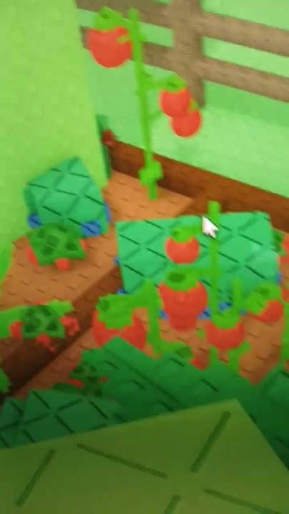 My Only Emebr Lily Youtube