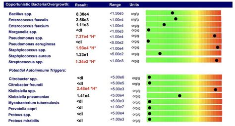 Australian Gi Map Complete Test Guide Gut Health Microbiome Testing