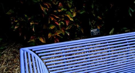 Cómo Cultivar La Planta De Cobre Copperleaf Cdhistory