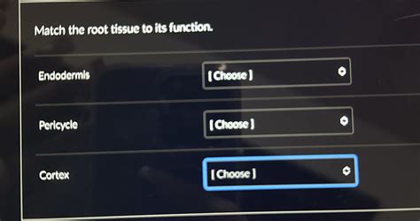 Solved Match The Root Tissue To Its