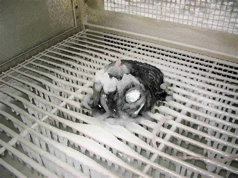 Rain And Icing Testing Services Delserro Engineering