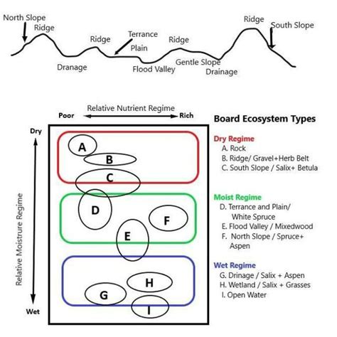Broad Ecosystem Generated By The Edaptopic Grid Scheme And Slope