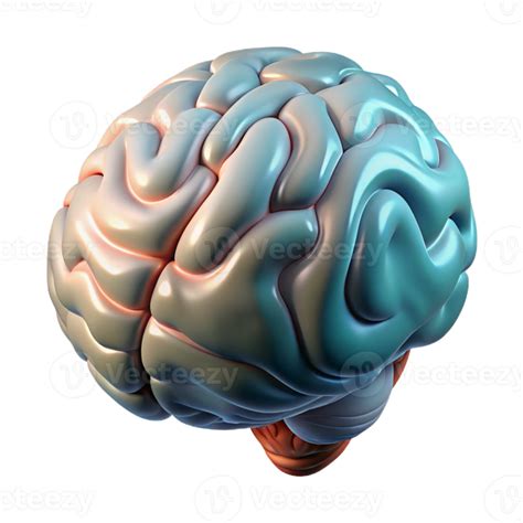 Extraordinary Traditional Digital Brain Scan With Highlighted Areas