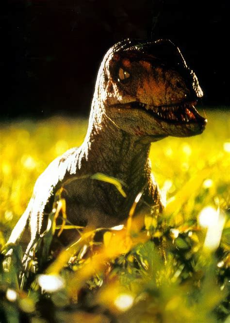 Jurassic Park Tiger Raptor By Ilyadragons2578 On Deviantart