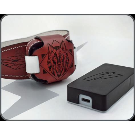 Pishock Edition Premium Leather Shock Collar Lockable Black Electric