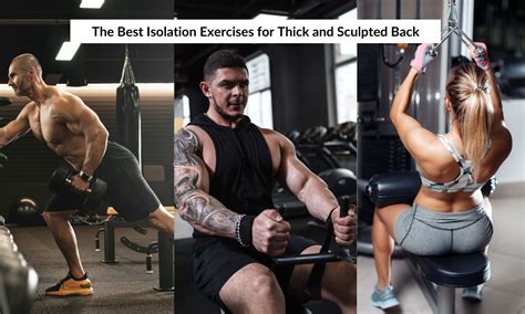 11 Best Isolation Exercises For Back The Fitness Phantom