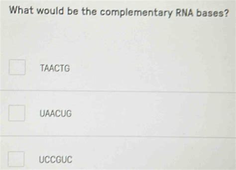 Solved What Would Be The Complementary Rna Bases Taactg Uaacug Uccguc