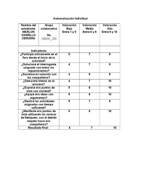 Autoevaluación Individual Pdf Science Ciencia Y Tecnología