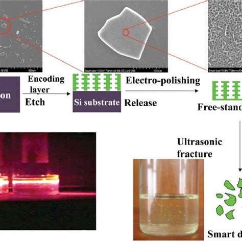 Schematic Diagram For The Preparation Of Bragg Structured Smart Download Scientific Diagram