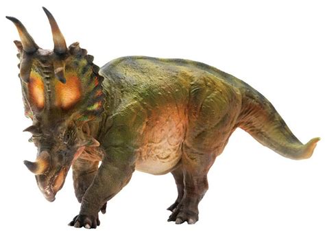 Spinops By Pnso Dans Dinosaurs