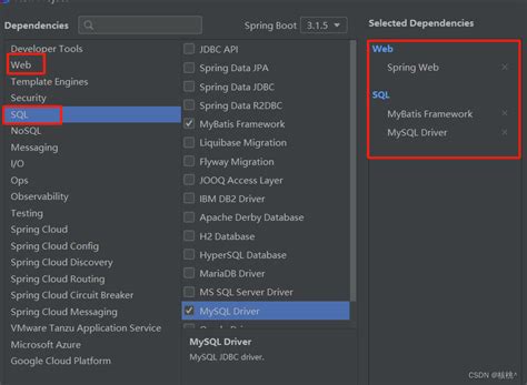 Springbootmybatismybatis指定schema Csdn博客