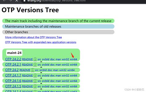 Win11安装rabbitmq Csdn博客