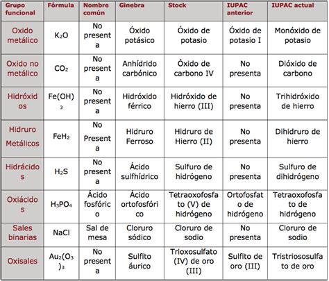 Esquema De Maduración Pulmonar Funciones Clave Y Aspectos Significativos