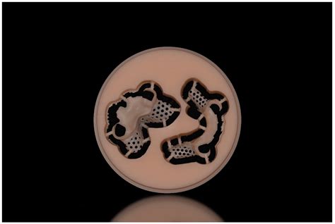 Rpd Design Sheet Examples Design Talk