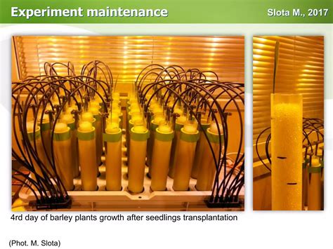 Root Phenotyping System Pdf