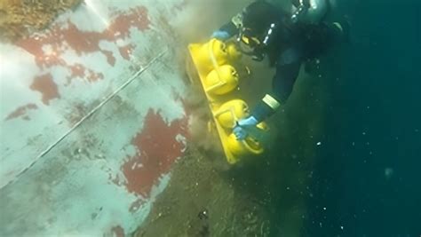 Ship Optimization How Organism Growth Affects Propeller Aquadiver Panamá