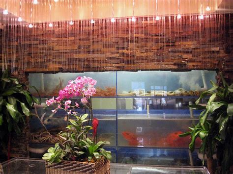 Newport Tan Cang Seafood Restaurant San Gabriel Potatomatoblog