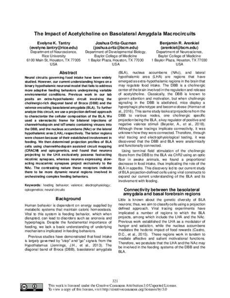 Pdf The Impact Of Acetylcholine On Basolateral Amygdala Macrocircuits