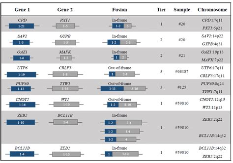 Schematic Representation Of Validated Fusion Genes Reading Frames