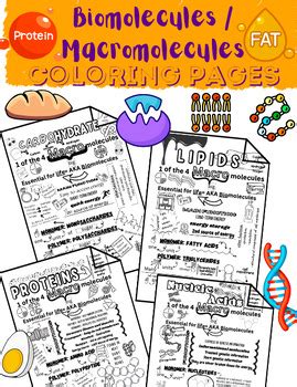 Organic Molecule Worksheet Coloring Pages [2025]