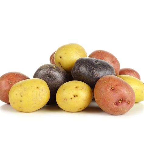 Potvar50 Tri Color Marble Potato 50 Pacific Coast Fresh Co