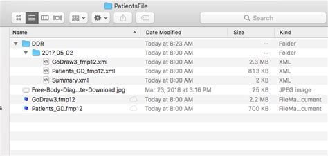 Like A Boss The Filemaker Database Design Report Proofgeist