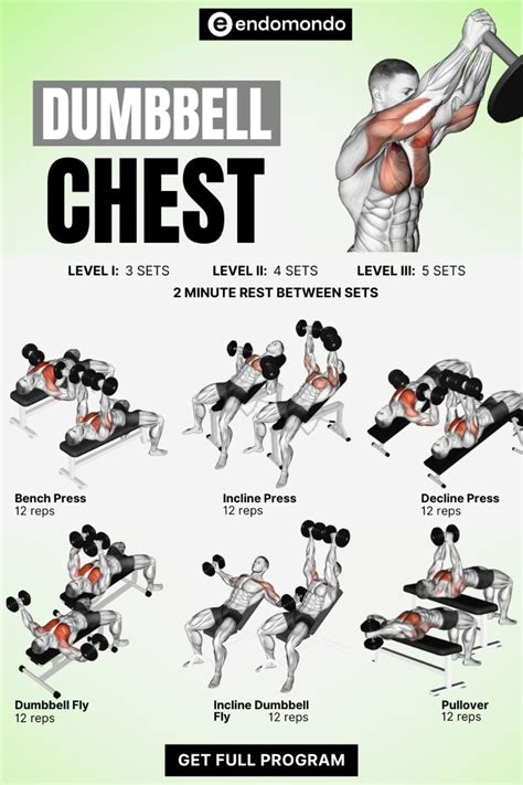 Sculpt Your Chest Dumbbell Chest Workout For Strength Gym Workout