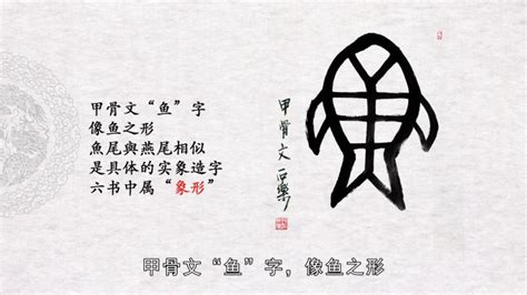 第6天 甲骨文“鱼”字的写法 文化 艺术 好看视频